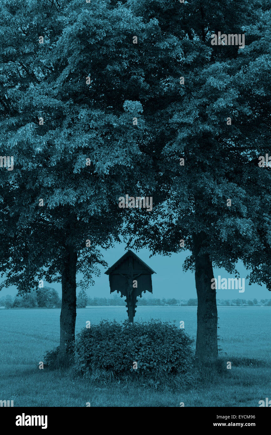 Between two trees hi-res stock photography and images - Alamy