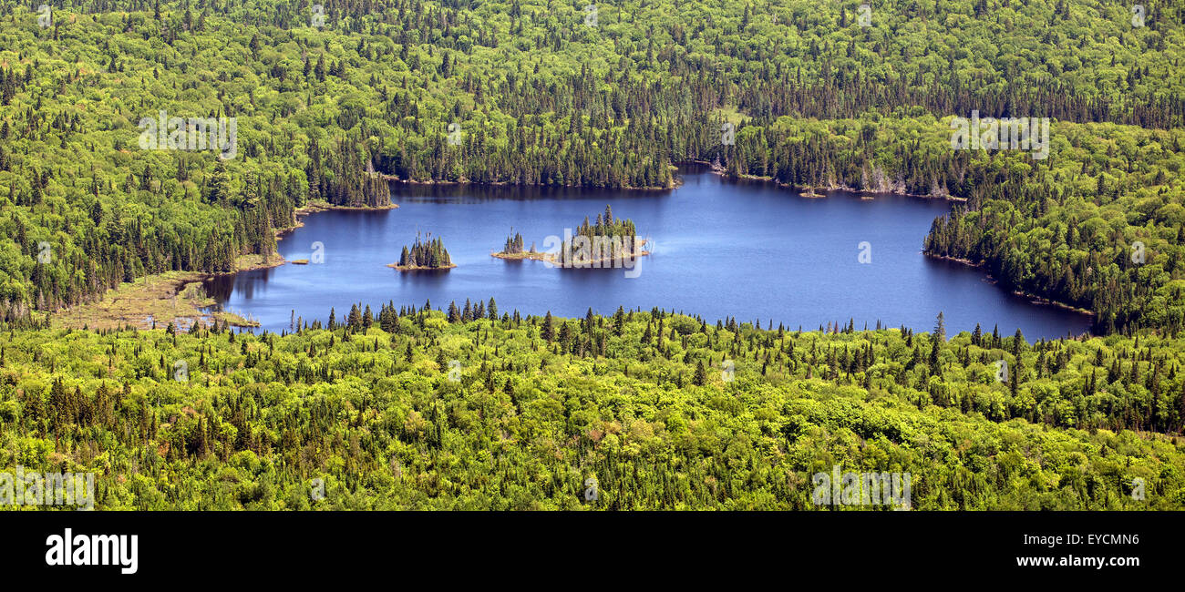Aerial wild Canadian forest Stock Photo - Alamy
