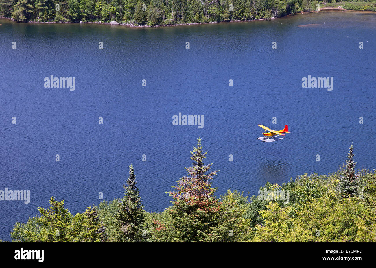 Plane in nature hi-res stock photography and images - Alamy