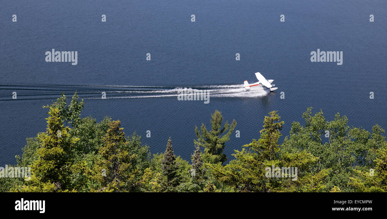 plane in the wild Stock Photo - Alamy
