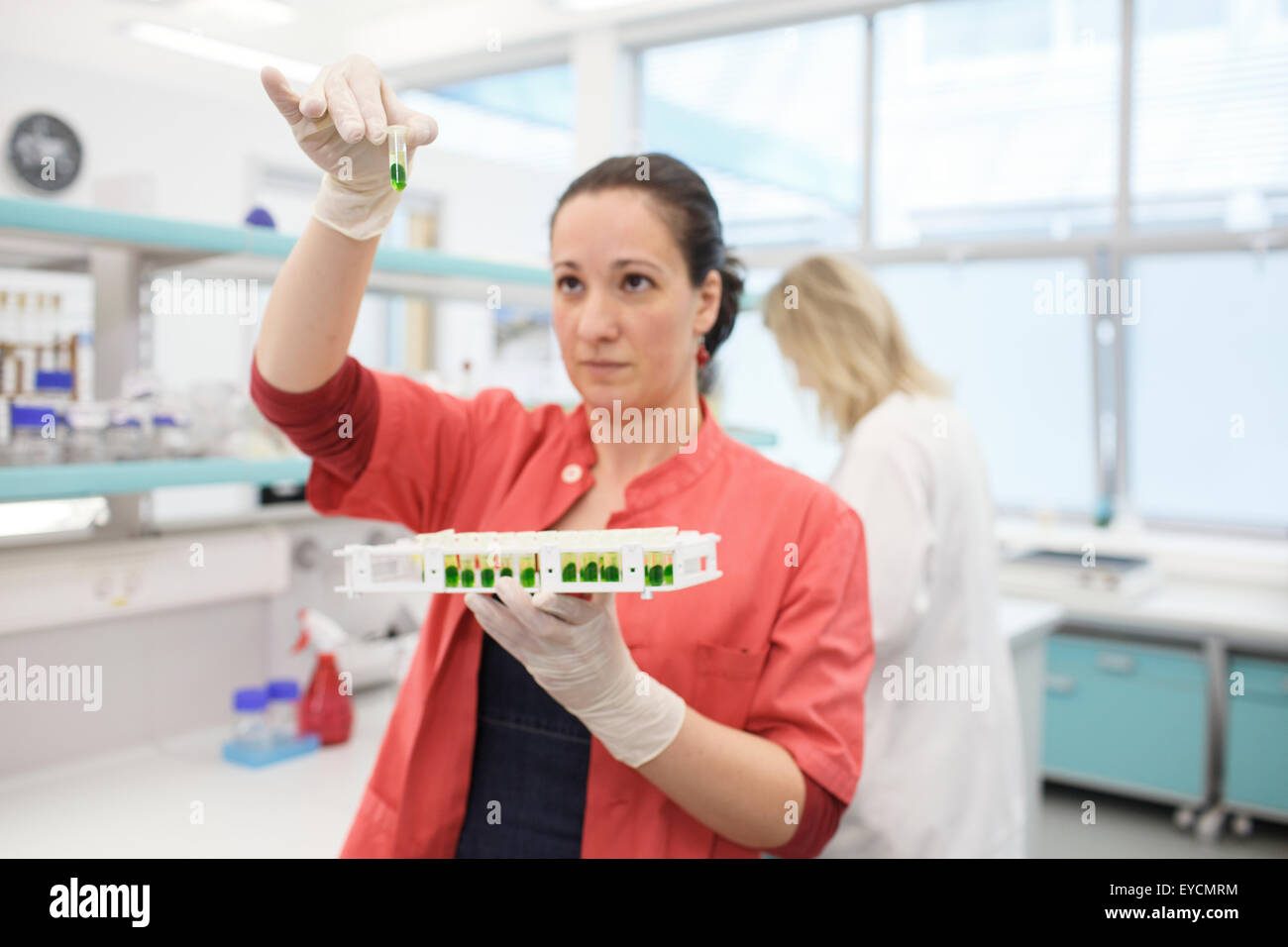 Female scientists working in lab Stock Photo - Alamy