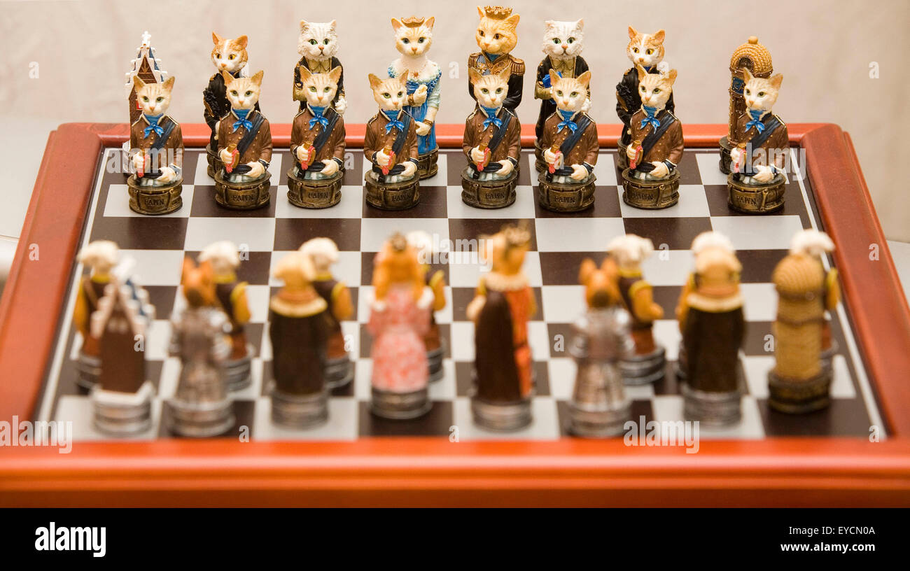 Cats Chess High Resolution Stock Photography and Images - Alamy