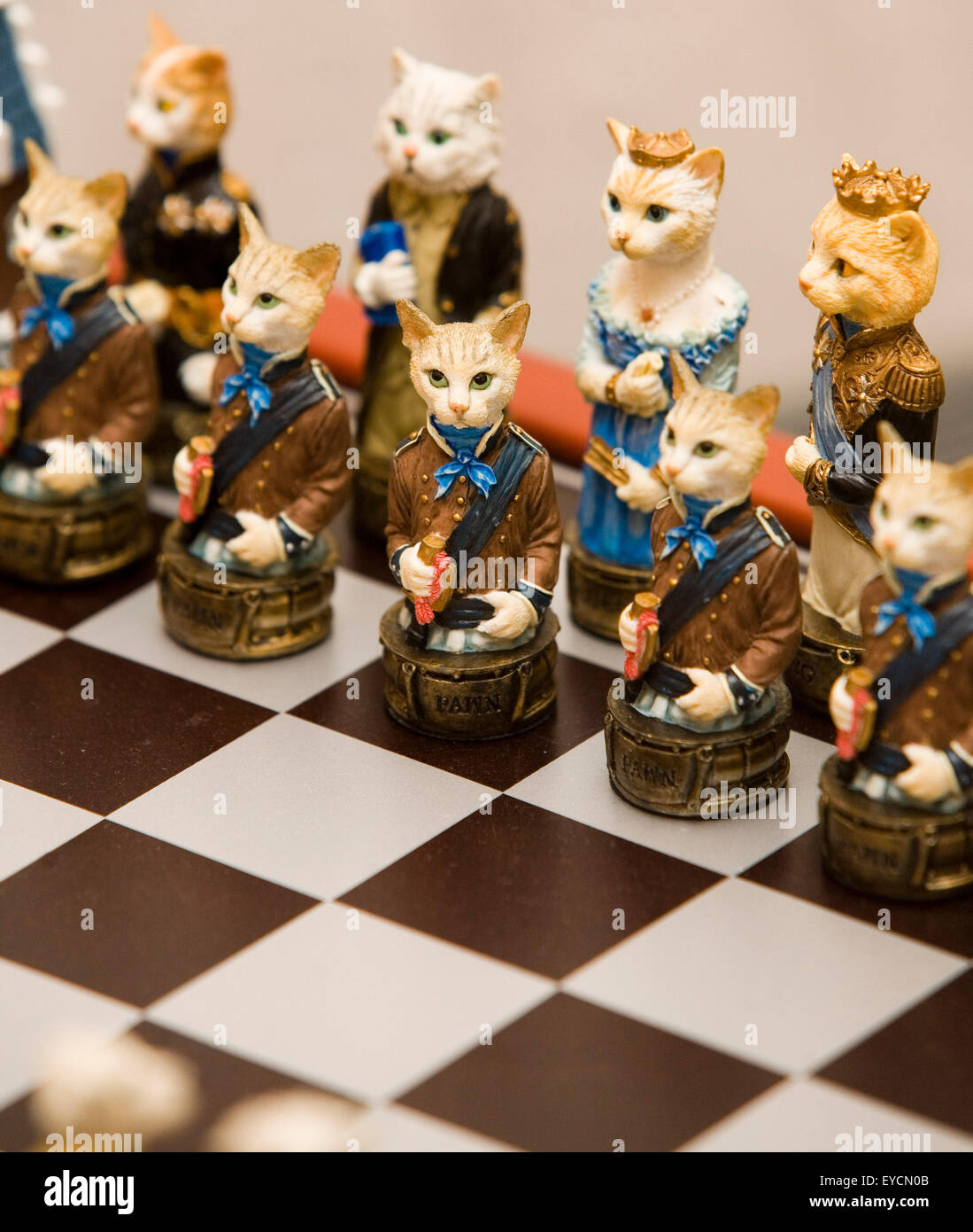 Cat Chess Stock Photo, Royalty Free Image: 85717083 - Alamy