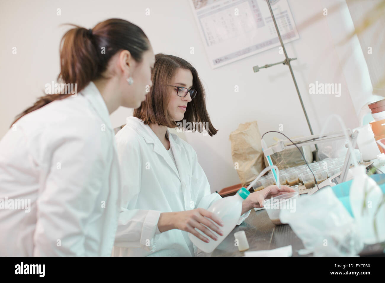 Female scientists working in lab Stock Photo - Alamy