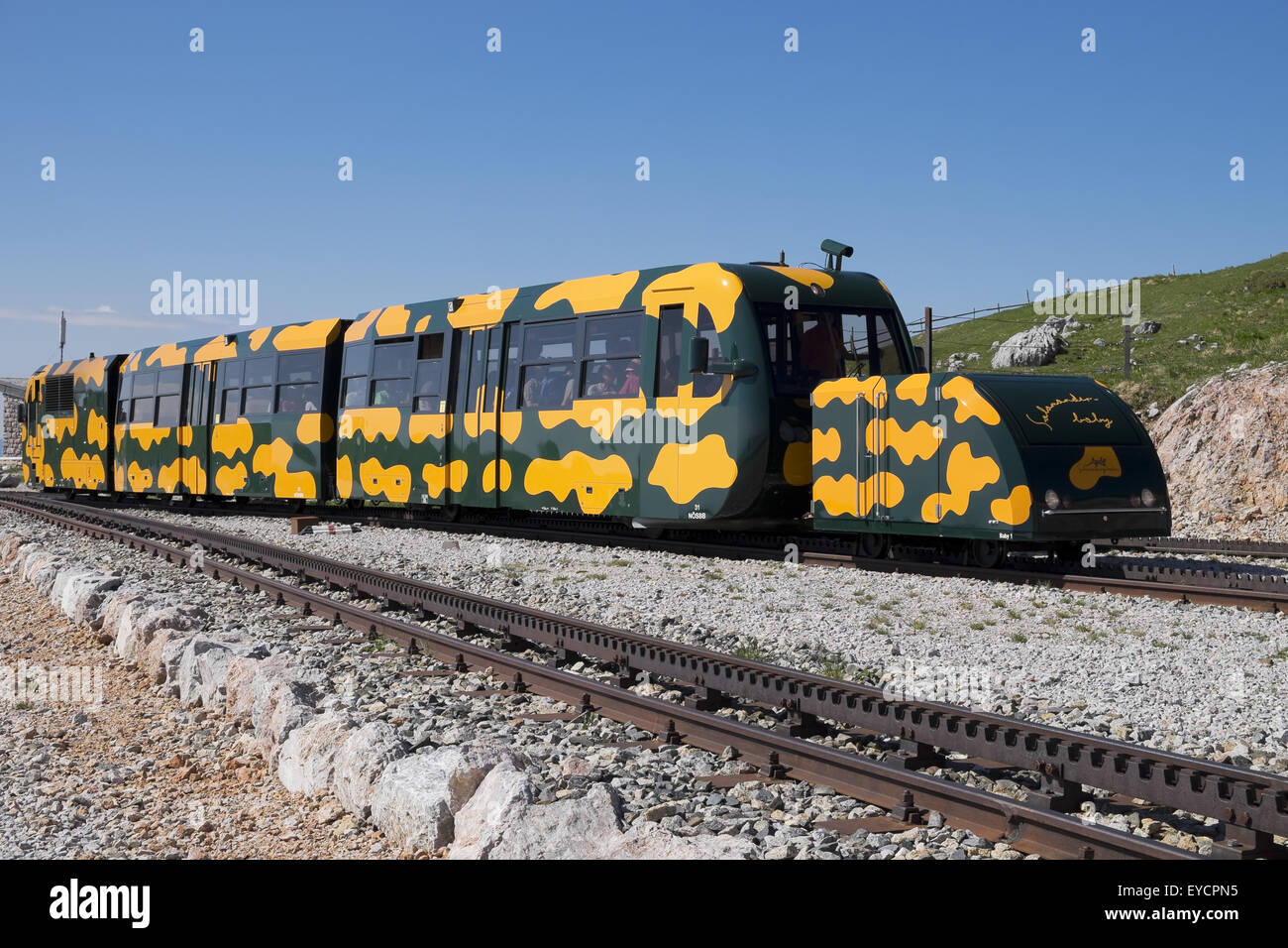 Austria, Lower Austria, Vienna Alps, Schneeberg Railway, Salamander ...