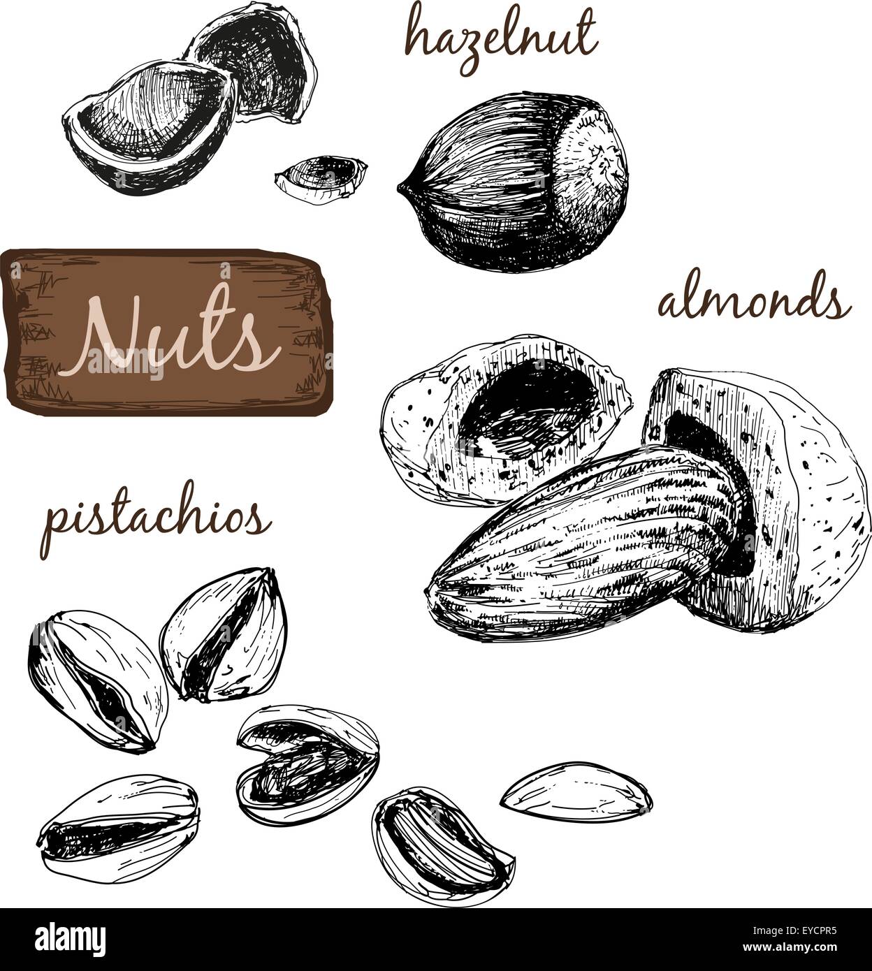 Nuts. Set of illustrations Stock Vector Image & Art - Alamy