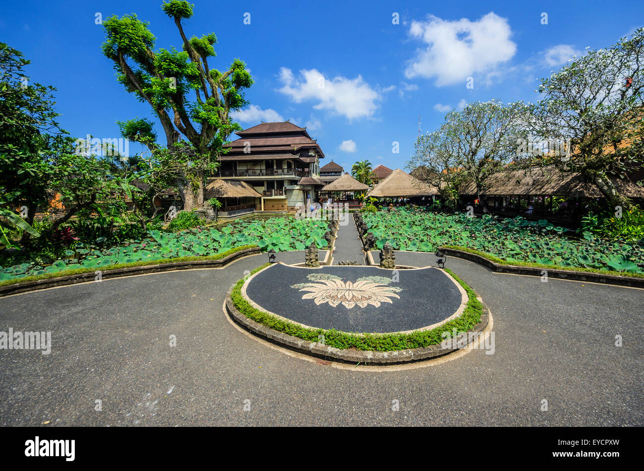 Indonesia, Bali, Ubud, Lotus Garden Stock Photo - Alamy