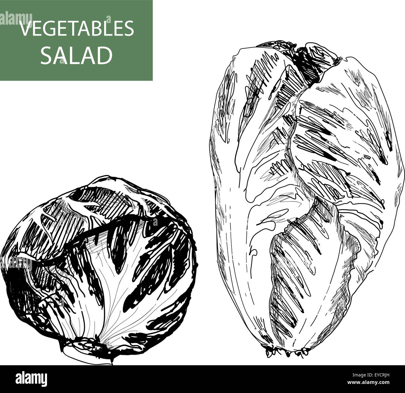 Salad - set of vector illustration Stock Vector Image & Art - Alamy
