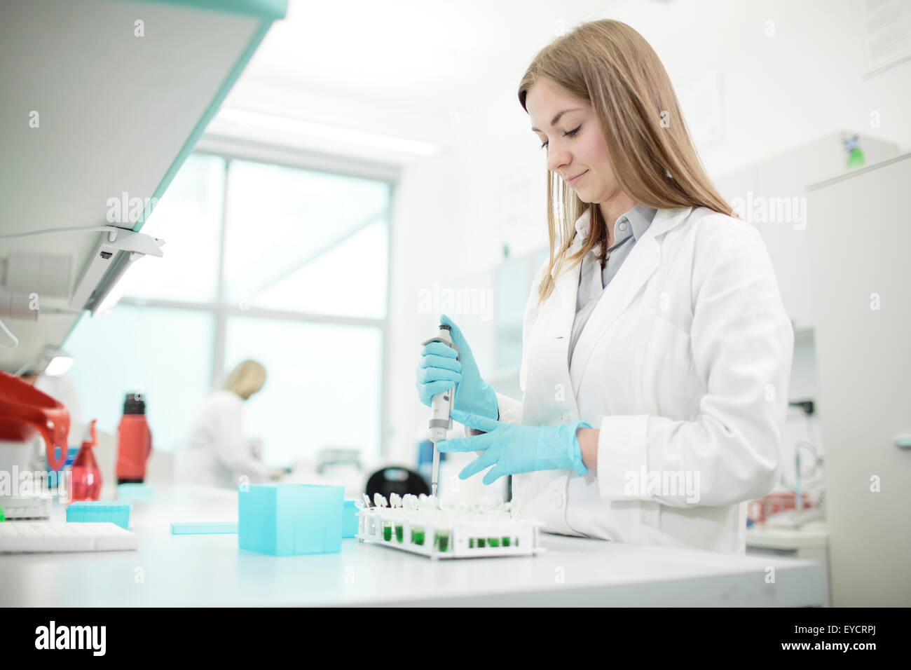 Female scientists working in lab Stock Photo - Alamy