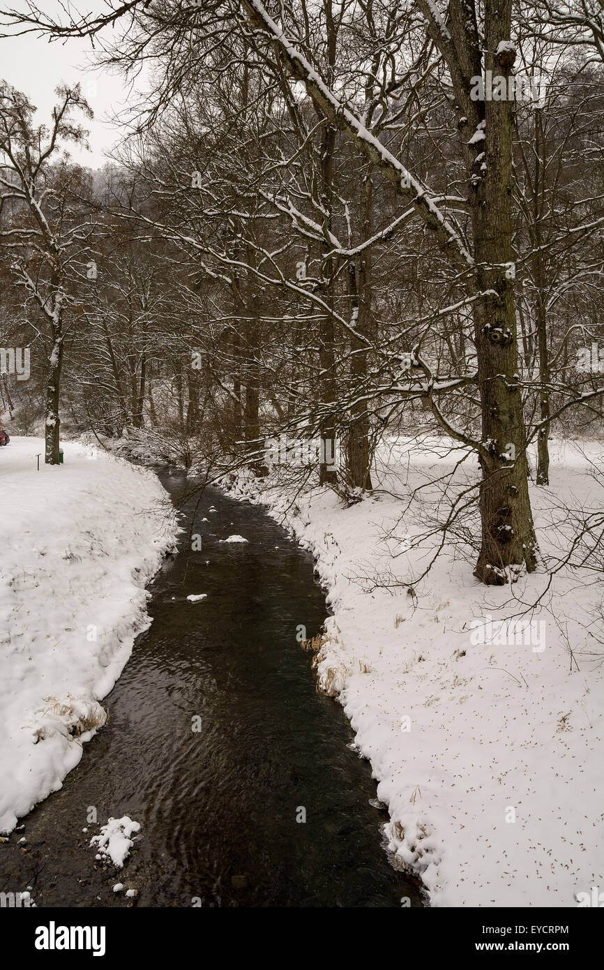 River Pradnik in Ojcowski National Park (Poland Stock Photo - Alamy
