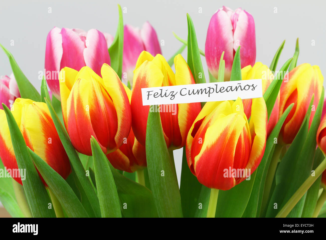 Feliz Cumpleanos Means Happy Birthday Hi res Stock Photography And feliz-cumpleanos-means-happy-birthday-hi-res-stock-photography-and