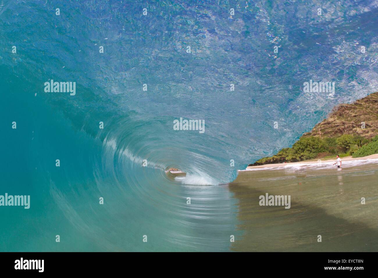 Surface level view of curved ocean wave, Hawaii, USA Stock Photo - Alamy