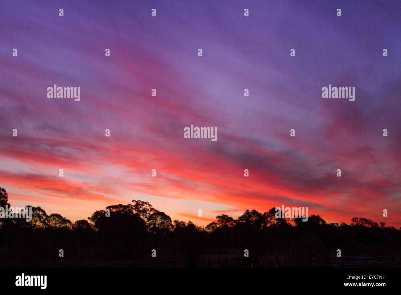 Sunset with trees hi-res stock photography and images - Alamy