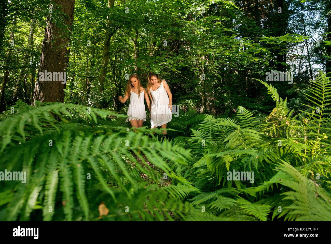 Through friendship hi-res stock photography and images - Alamy