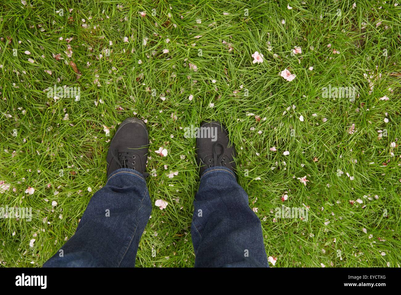 High angle view of young womans feet on lawn Stock Photo - Alamy
