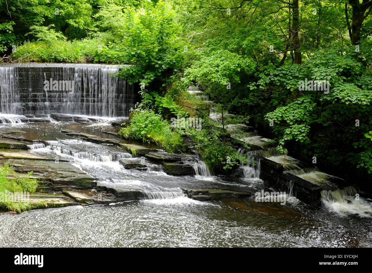 Yarrow Valley Country Park, Lancashire, England Stock Photo - Alamy