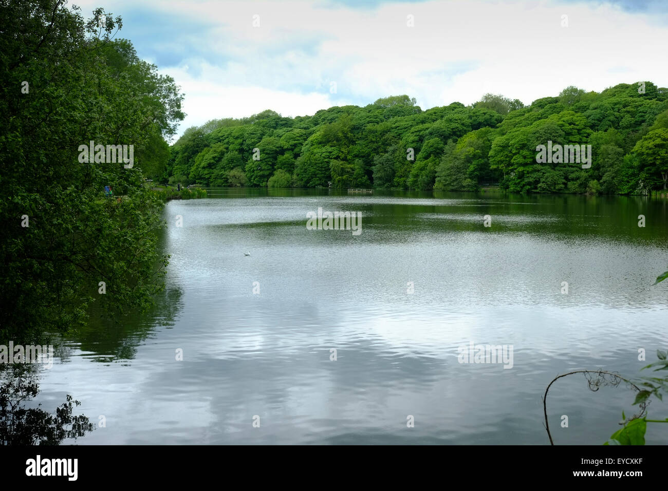 Birkacre Lodge, Yarrow Valley Country Park, Lancashire, England Stock ...