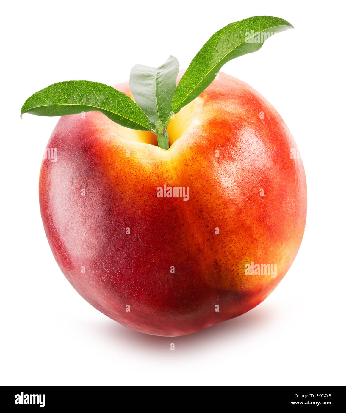 nectarine with leaves isolated on the white background Stock Photo - Alamy