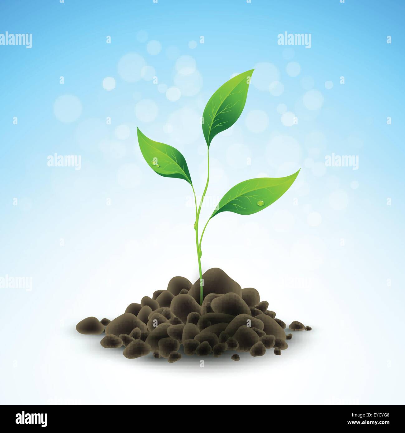 Plant sapling growing. Vector illustration Stock Vector Image & Art - Alamy