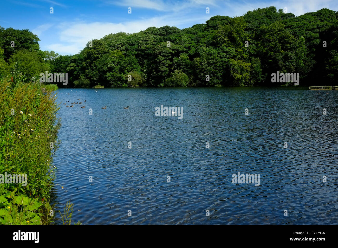Birkacre Lodge, Yarrow Valley Country Park, Lancashire, England Stock ...