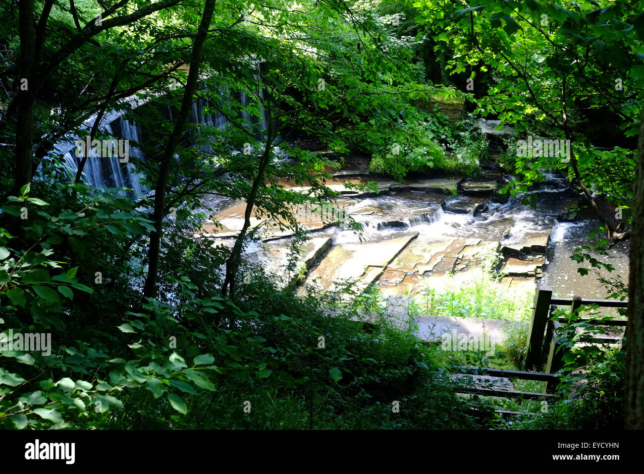 Yarrow valley park hi-res stock photography and images - Alamy