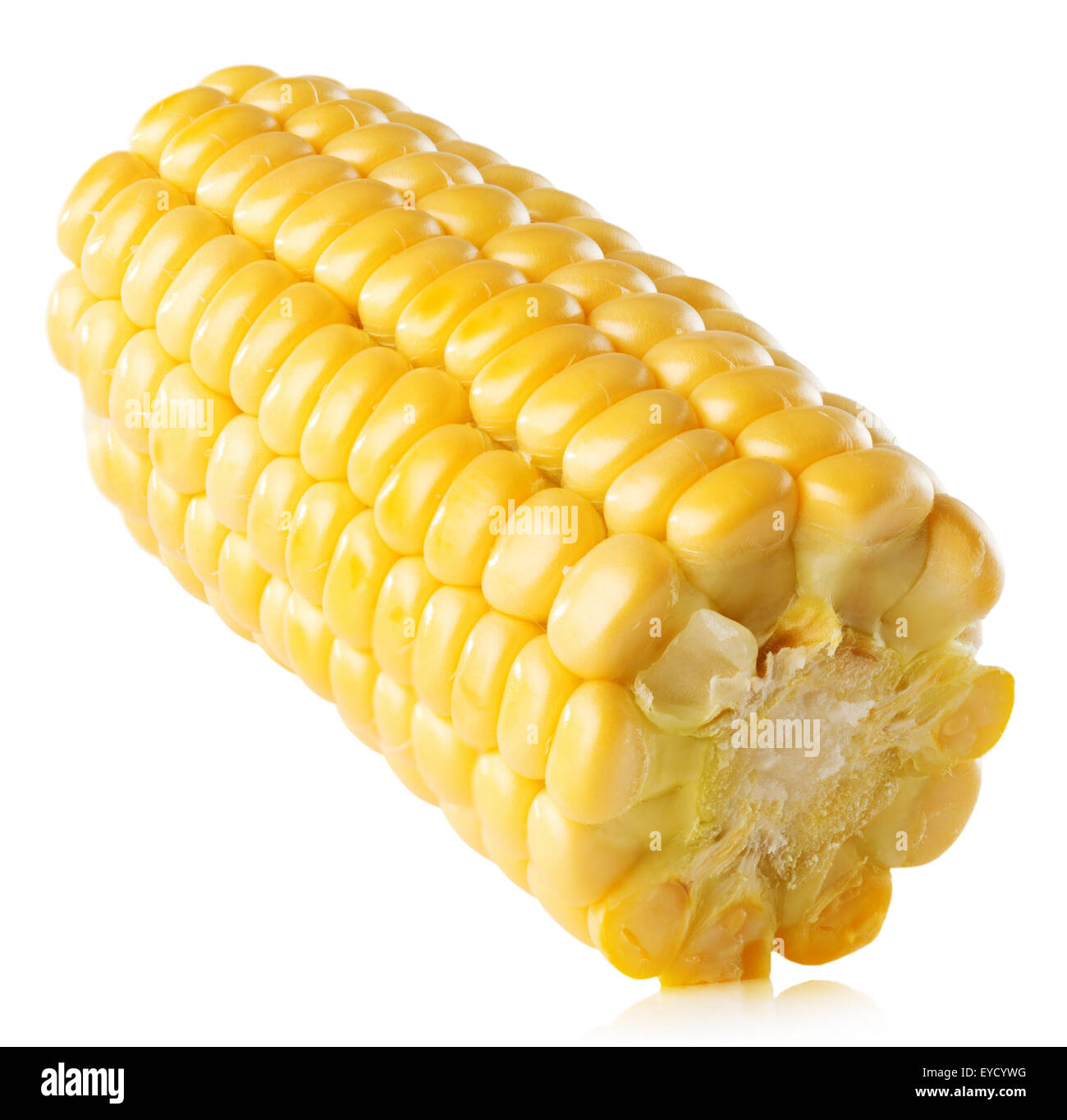fresh corn ear isolated on the white background Stock Photo - Alamy