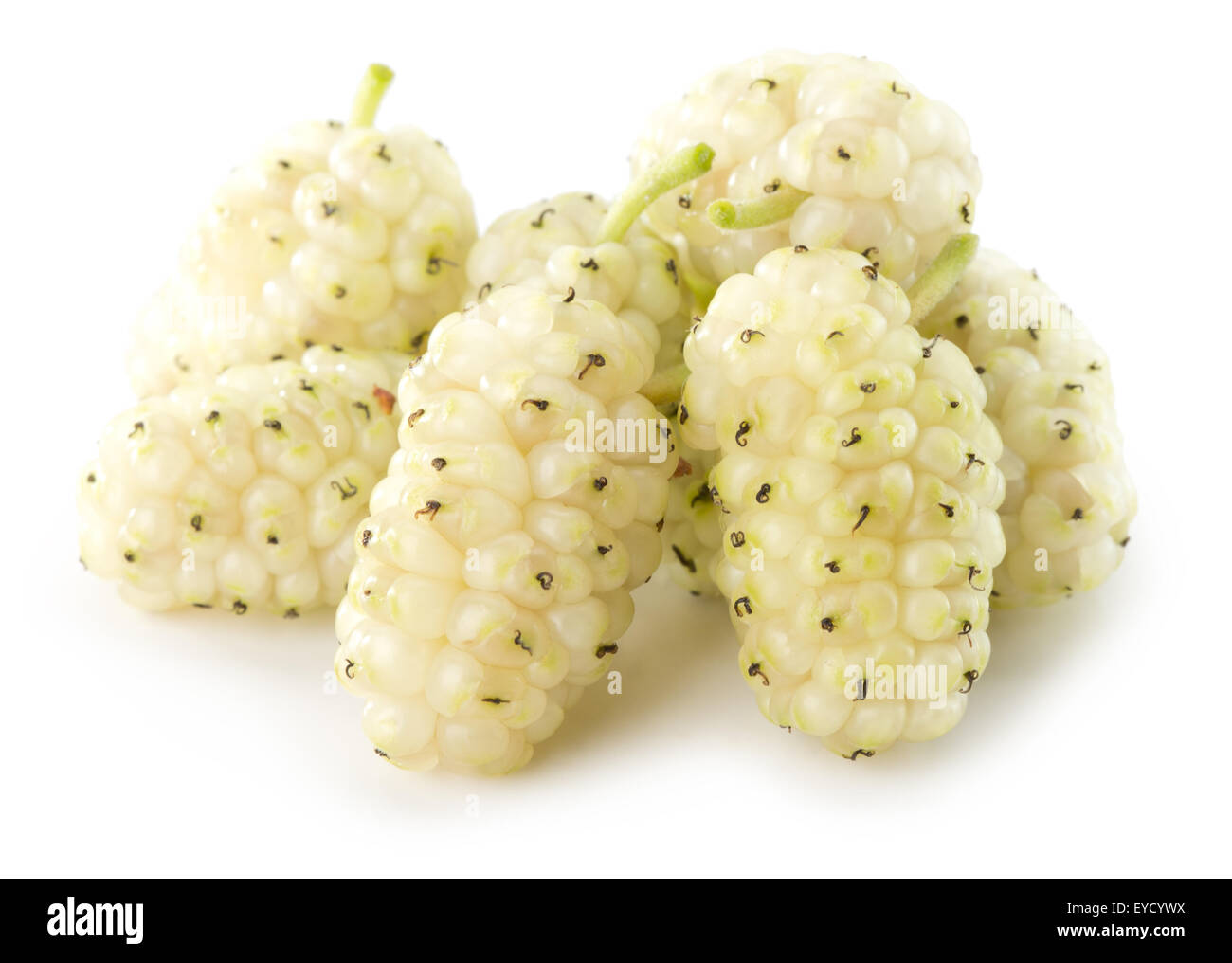 white mulberries isolated on the white background Stock Photo - Alamy