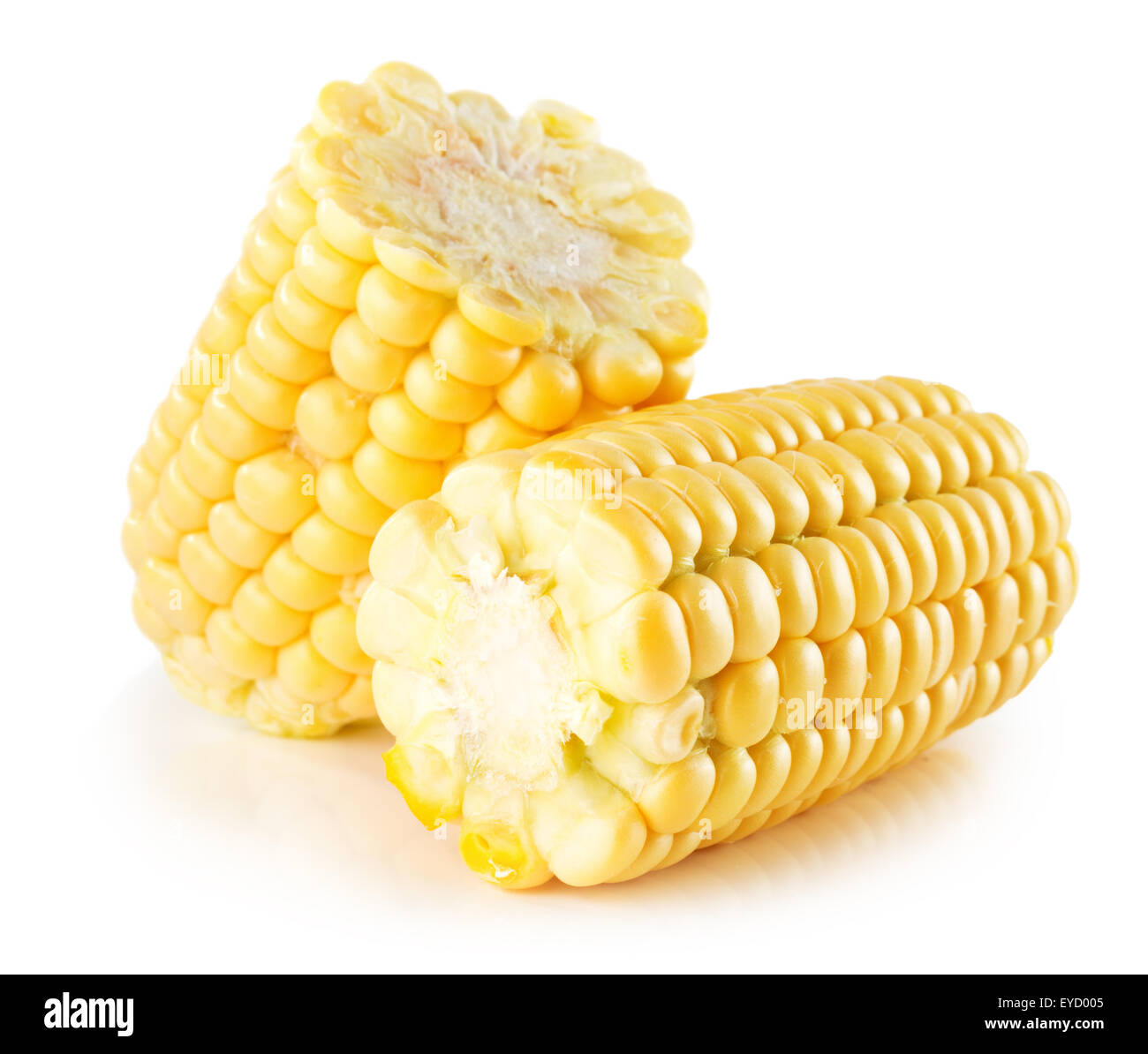 fresh corn ear isolated on the white background Stock Photo - Alamy