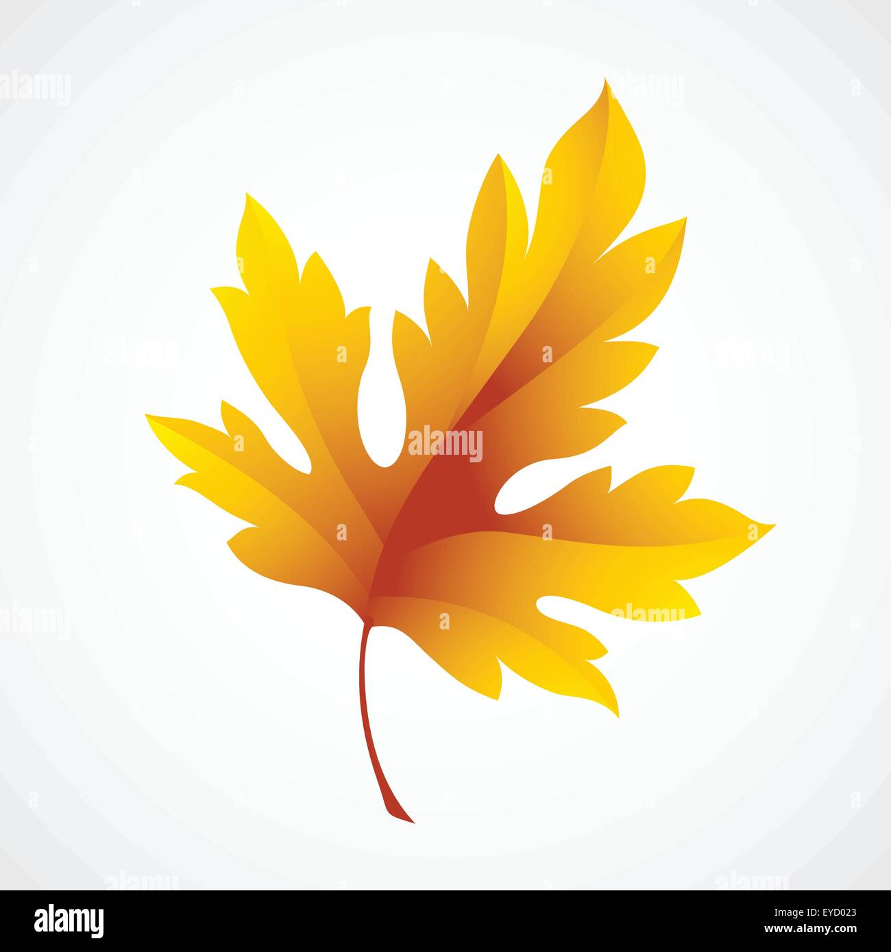 Fall leaf isolated in white. Vector illustration Stock Vector Image ...