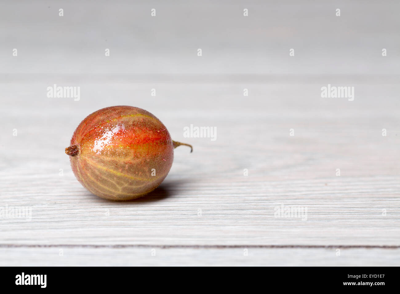 close up of a single gooseberry on a table Stock Photo - Alamy