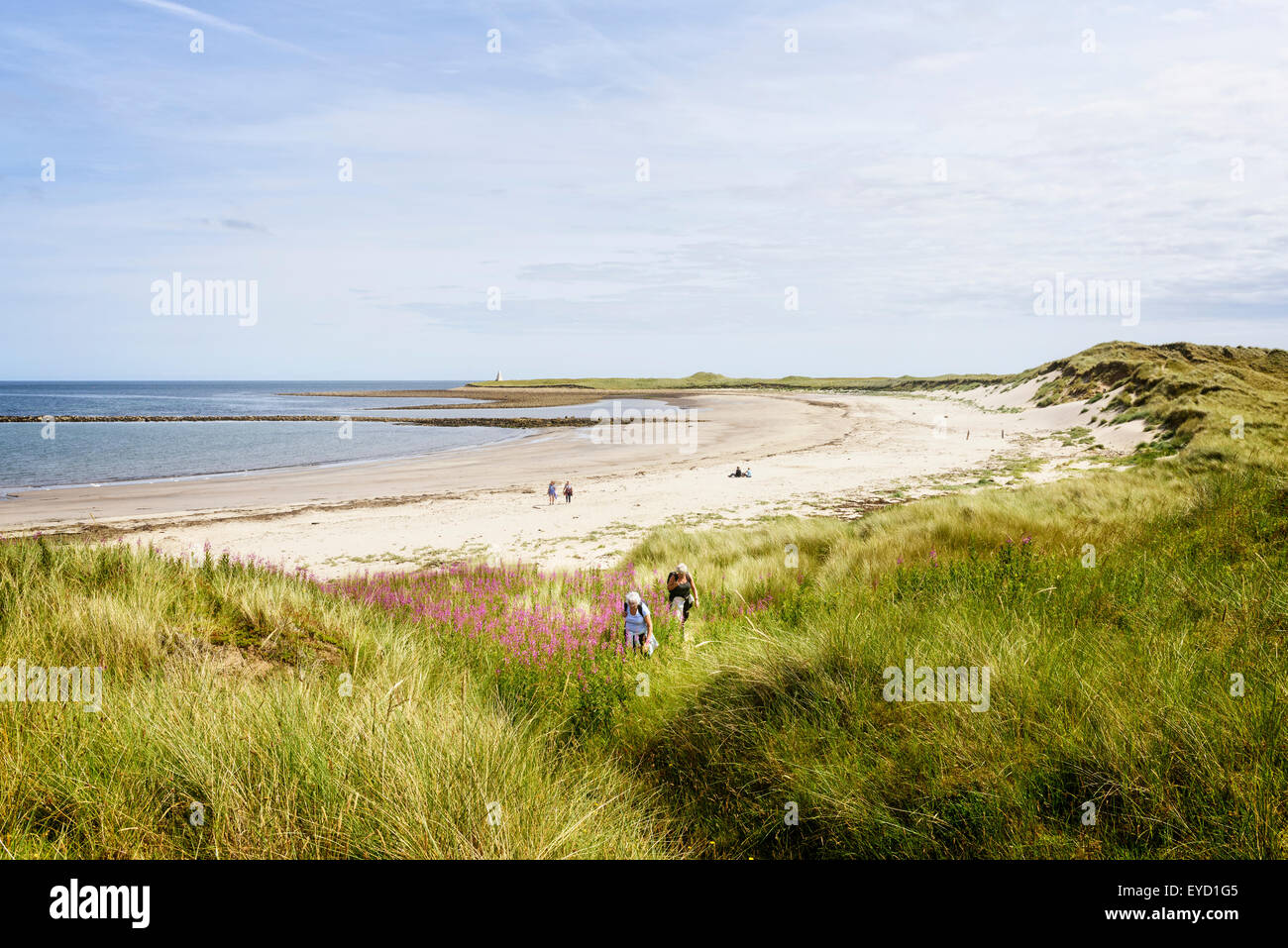 Sandham Beach Lindisfarne Stock Photo - Alamy