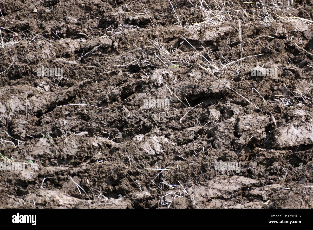 texture of plowed land just after the plough passed Stock Photo - Alamy
