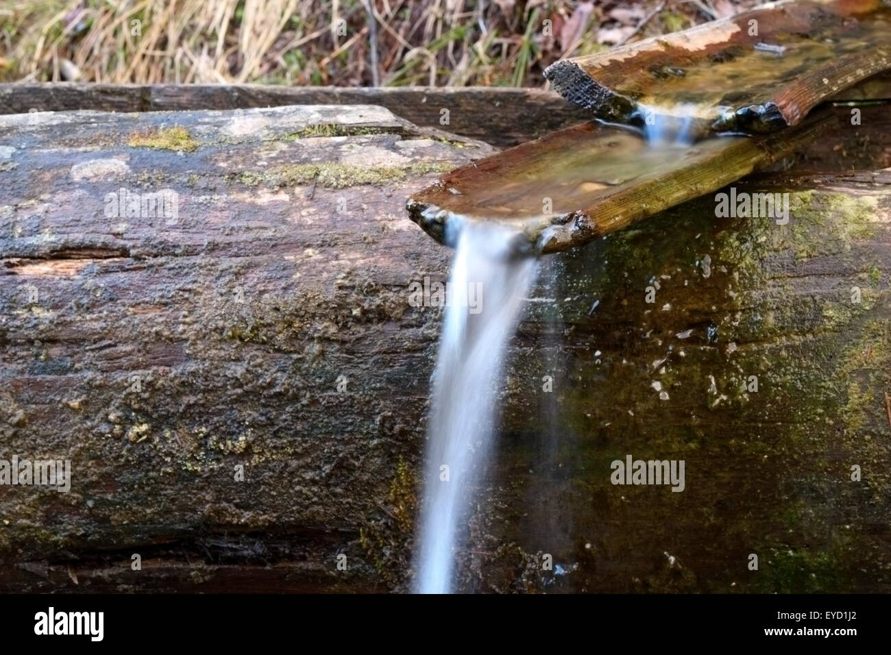 Natural Spring Fountain