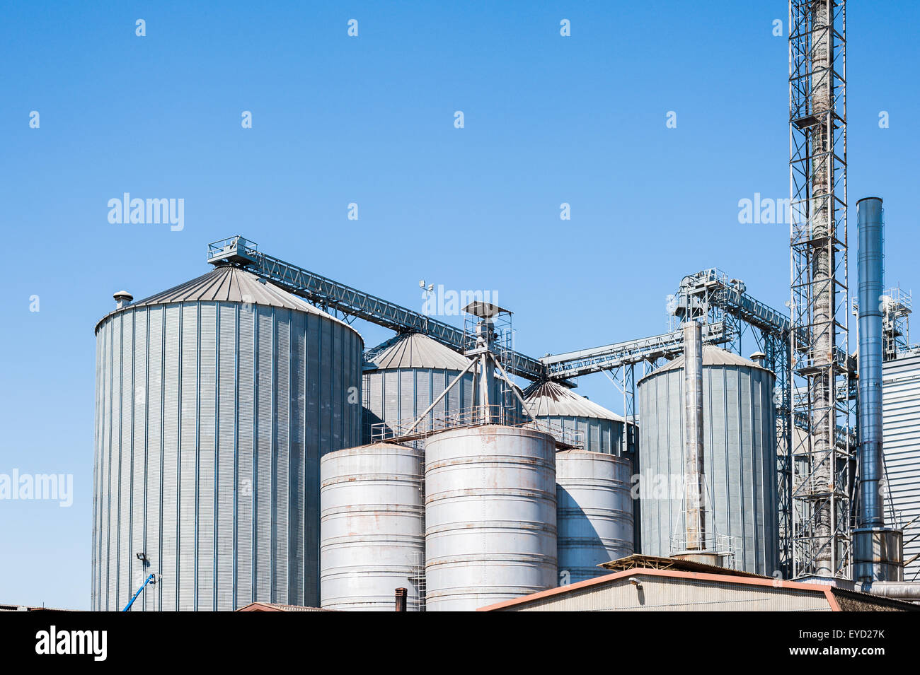 Cereals drying hi-res stock photography and images - Alamy