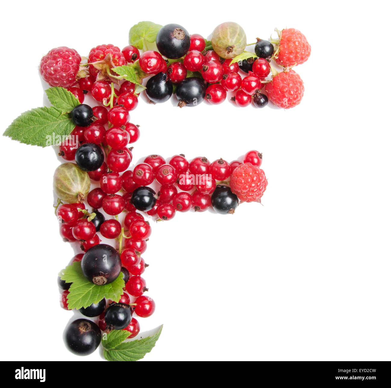 Letter f leaves hi-res stock photography and images - Alamy