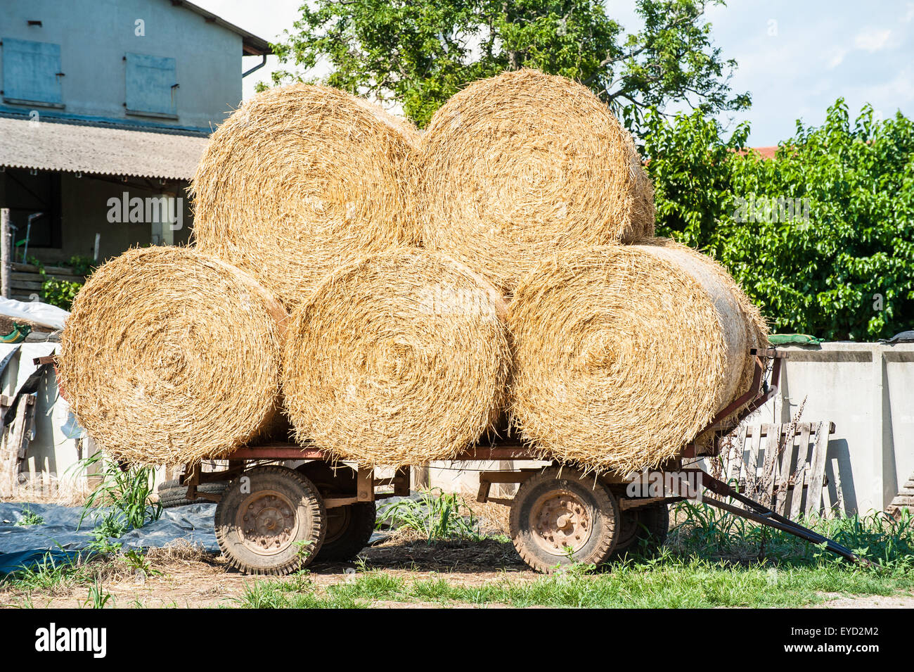 Agricultural wagon with stacked straw bales waiting for transport Stock ...