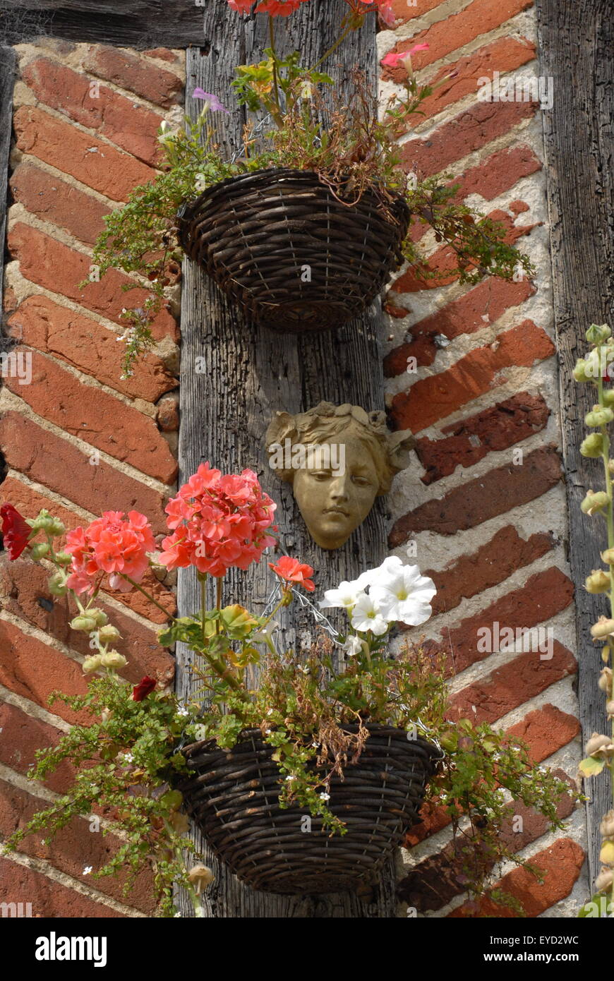 Geranium baskets hi-res stock photography and images - Alamy