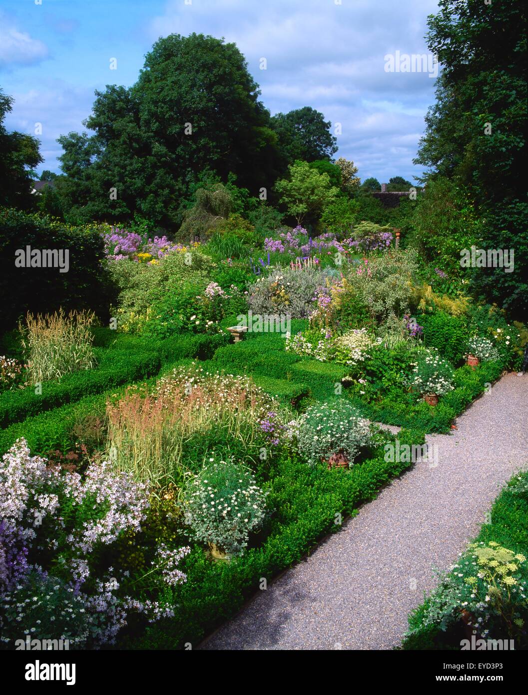 Isoldes hi-res stock photography and images - Alamy