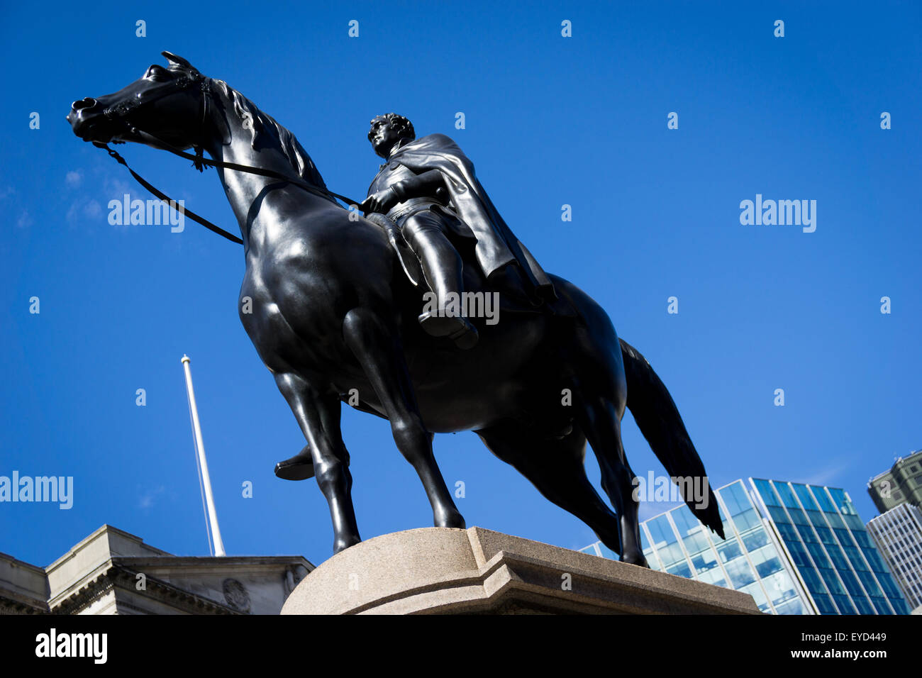 Equestrian bronze statue of the Duke of Wellington at the Royal ...