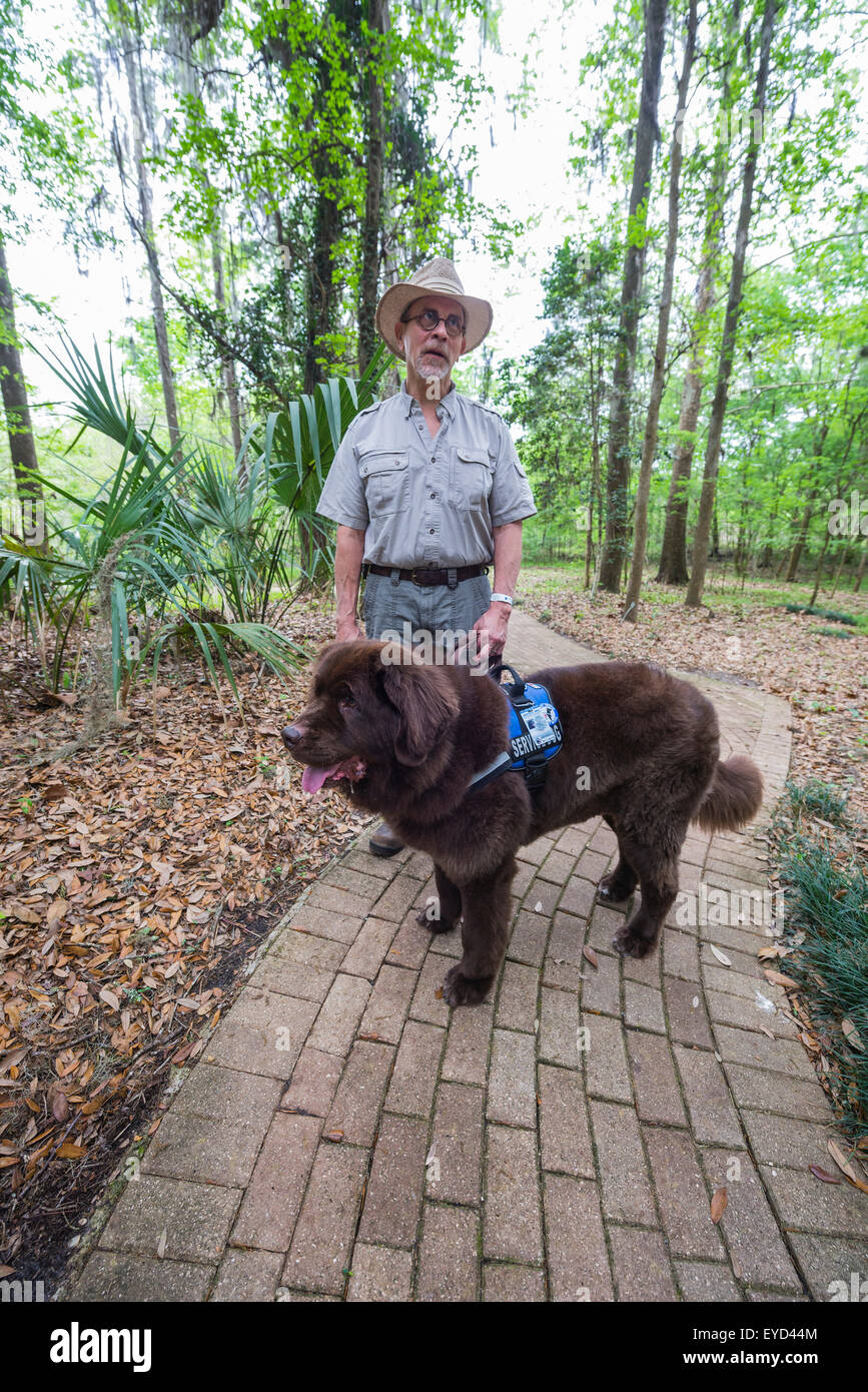 Trained service animals hi-res stock photography and images - Alamy