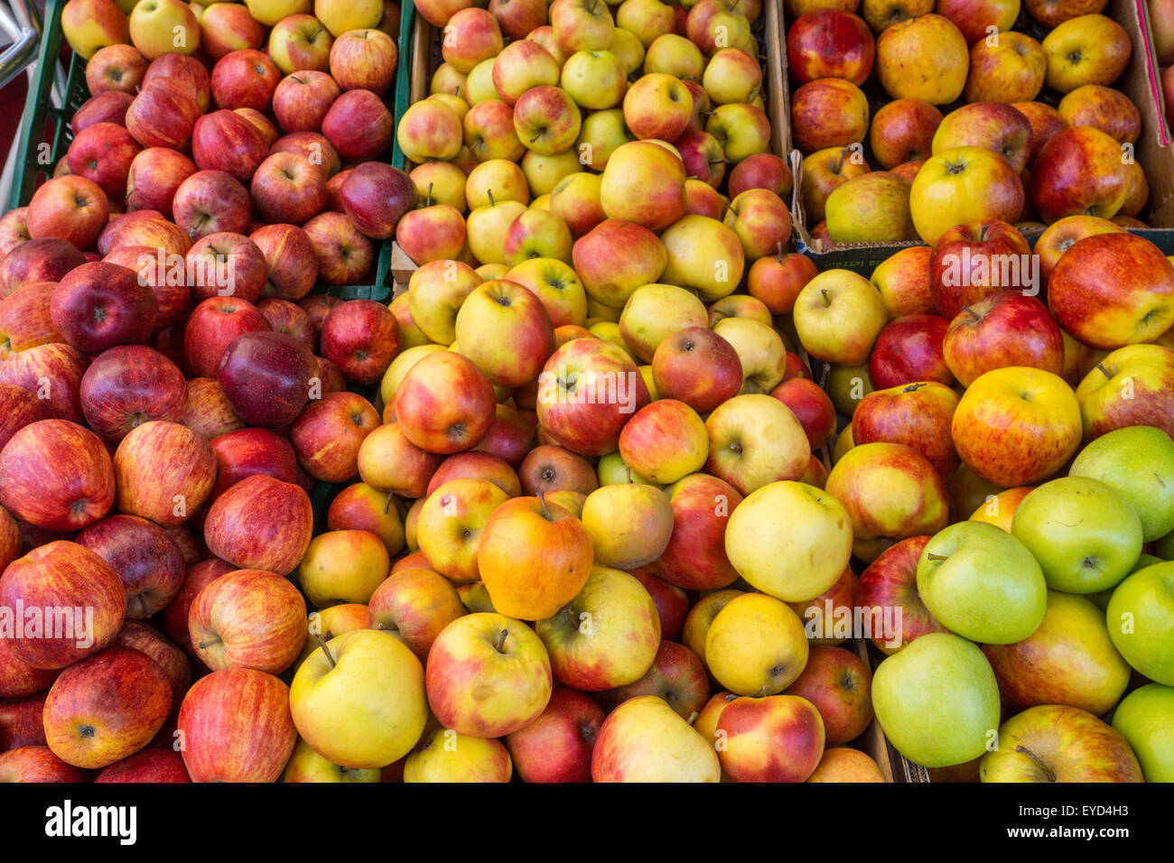 Fresh red, yellow and green apples Stock Photo - Alamy