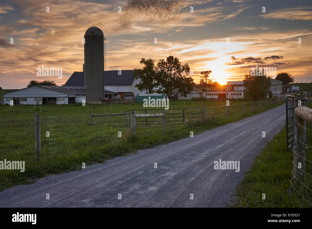 Sunset at the Miller Organic Farm in Lancaster County, Pennsylvania ...