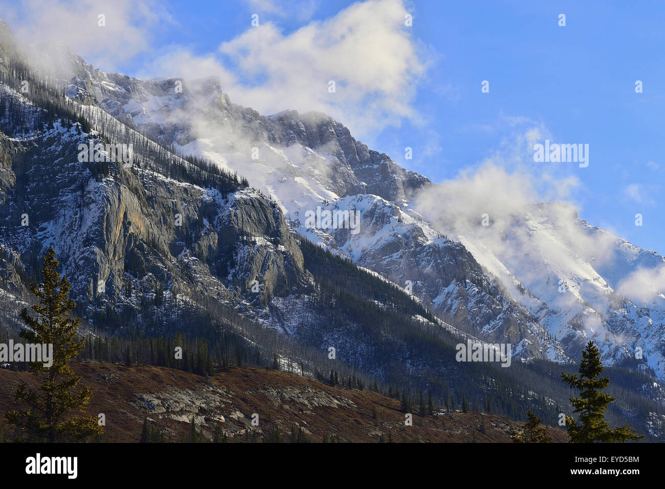 A horizontal landscape of the Miette mountain range with misty clouds ...