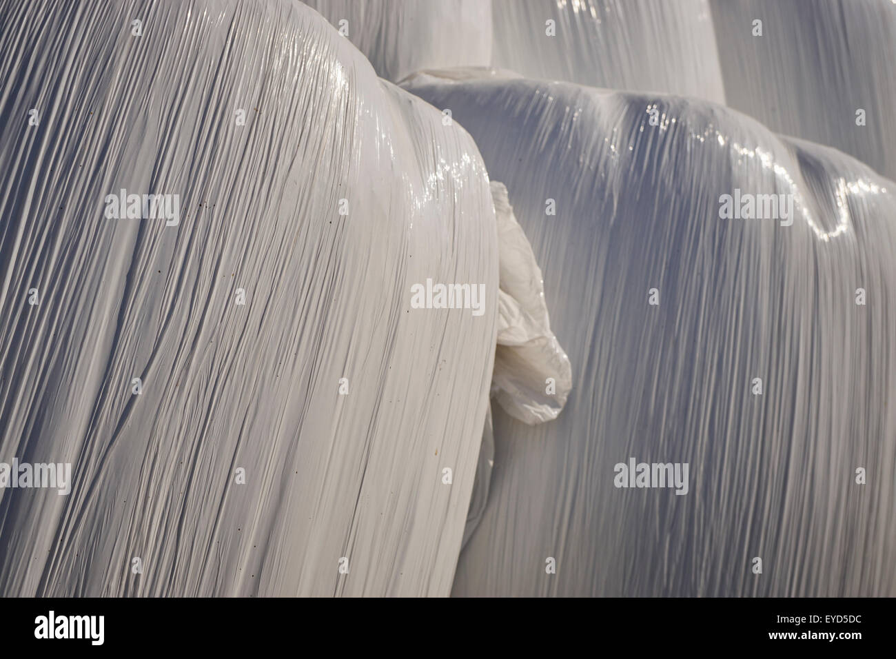 Plastic wrap hay bales hi-res stock photography and images - Alamy