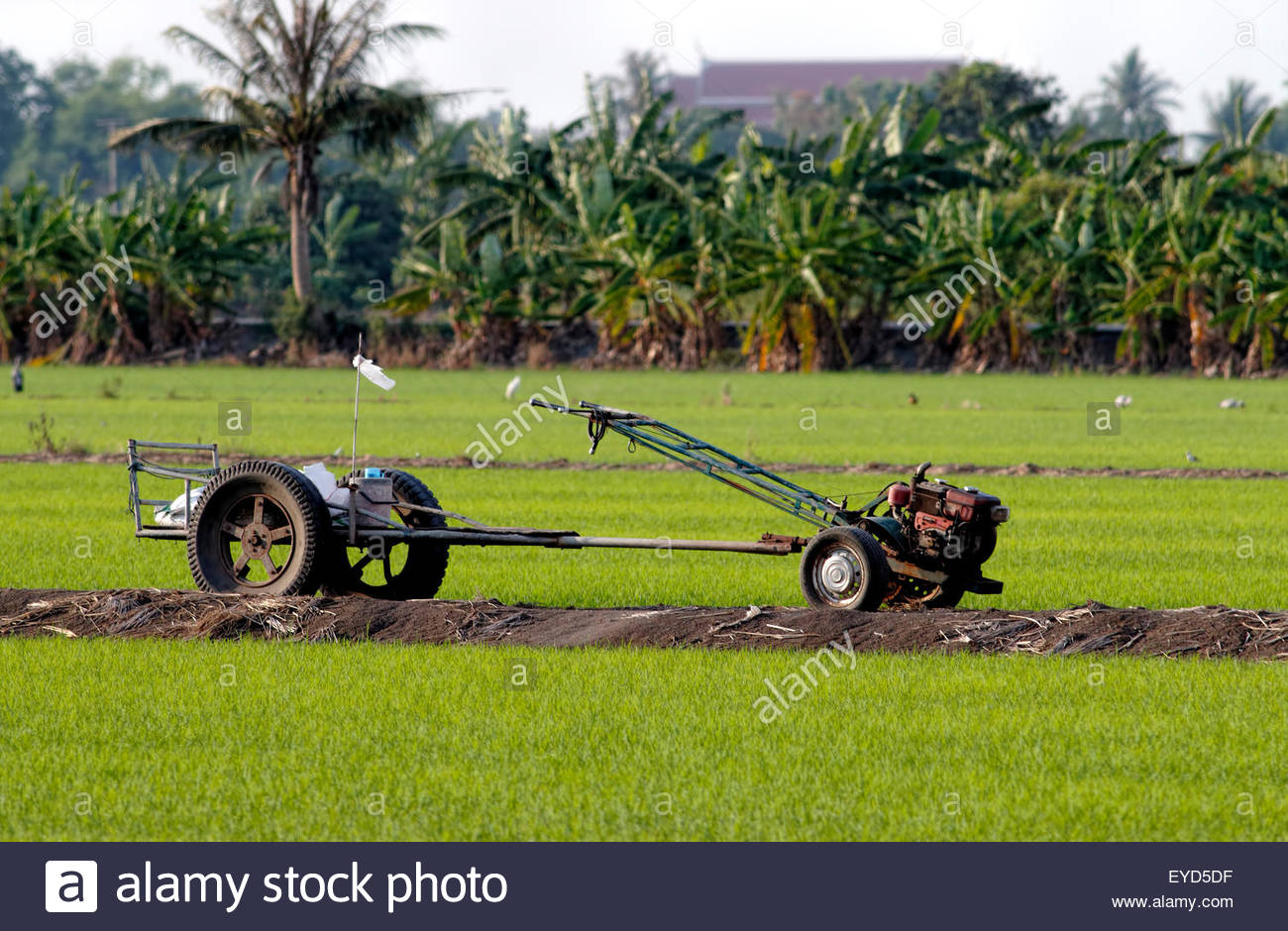 Rice Tractor Stock Photos & Rice Tractor Stock Images - Alamy
