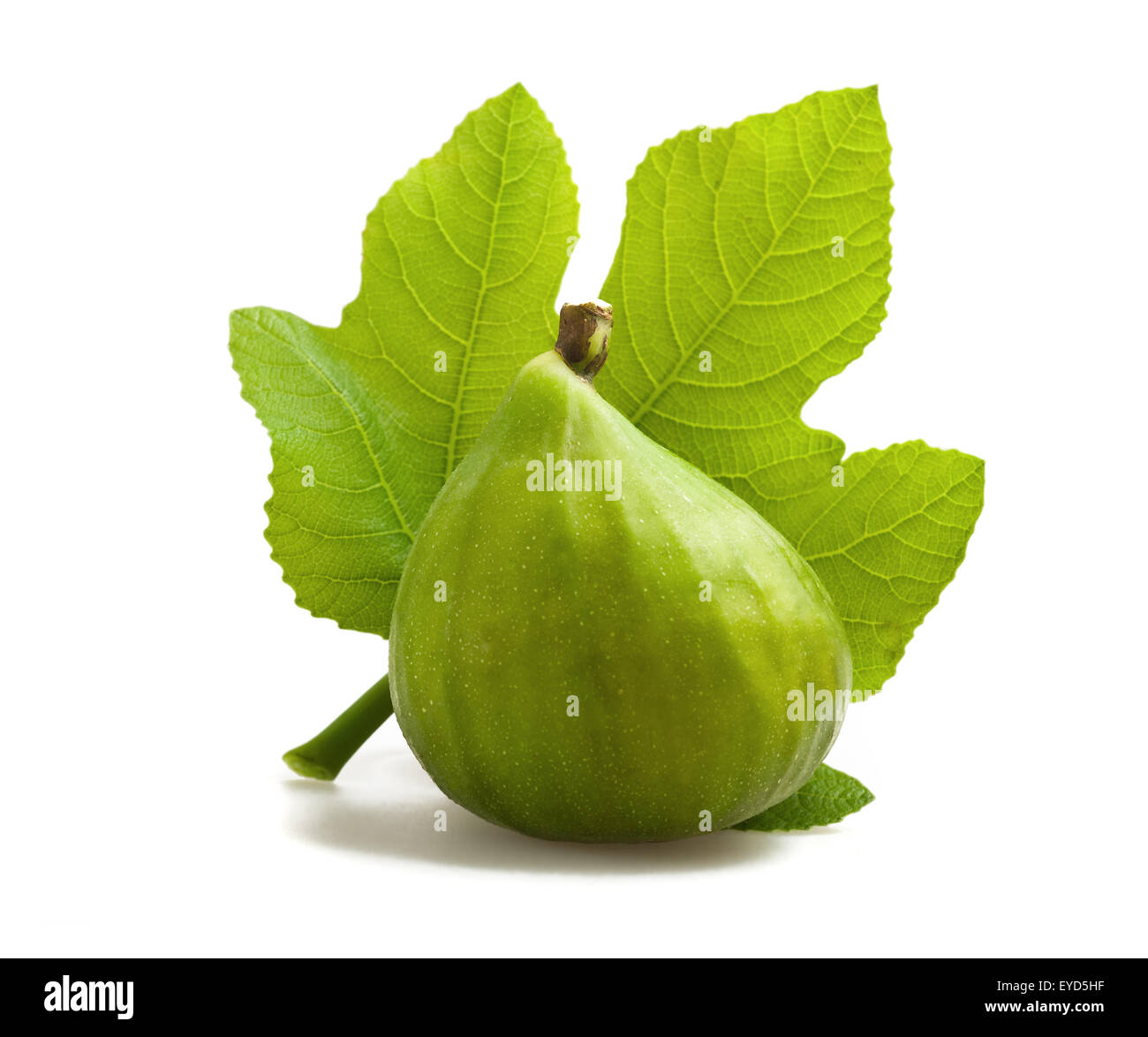 Fig with leaf isolated on white Stock Photo - Alamy