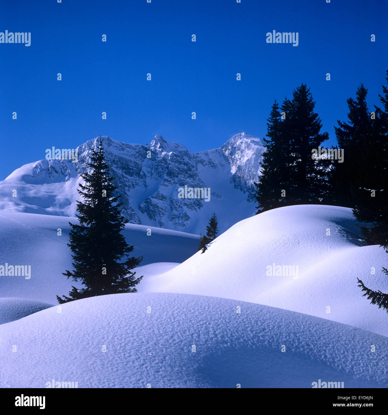 Winterlandschaft; Warth, Landschaft Stock Photo - Alamy