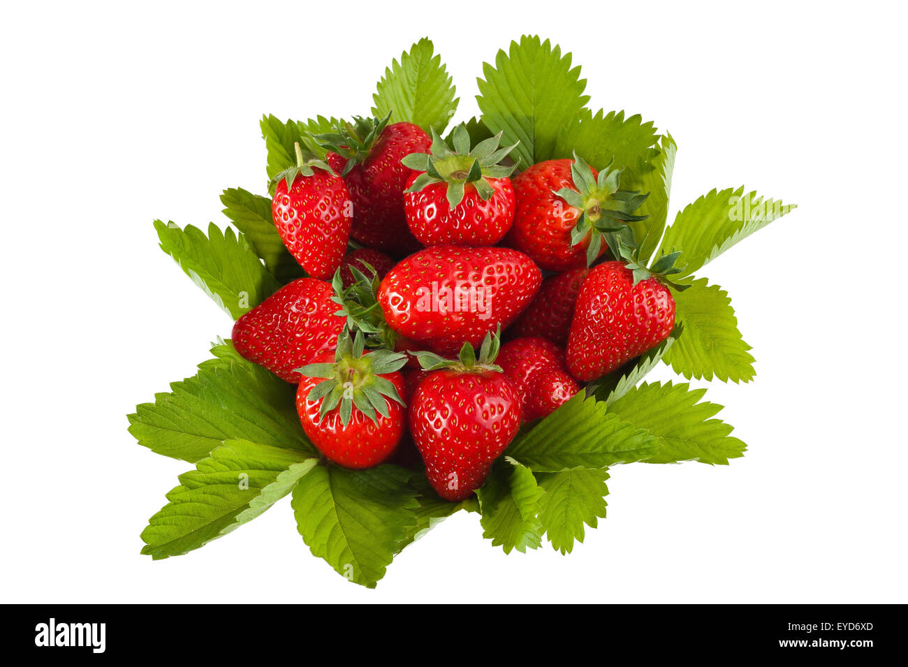 strawberries group with leaves isolated on white Stock Photo - Alamy