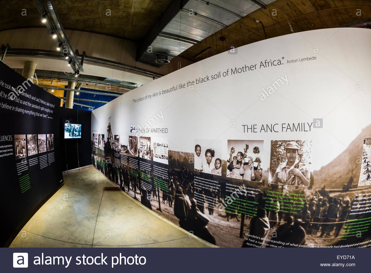 African National Congress Stock Photos & African National Congress ...