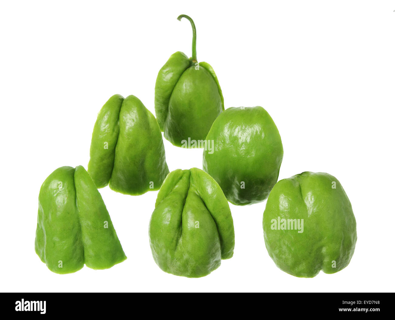 Chayotes Cut in Halves Stock Photo - Alamy